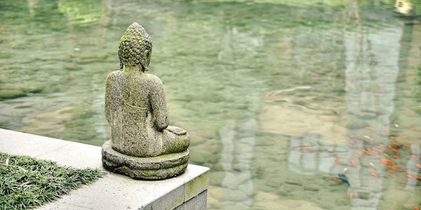 What Is Loving Kindness Meditation? (Incl. 4 Metta Scripts)